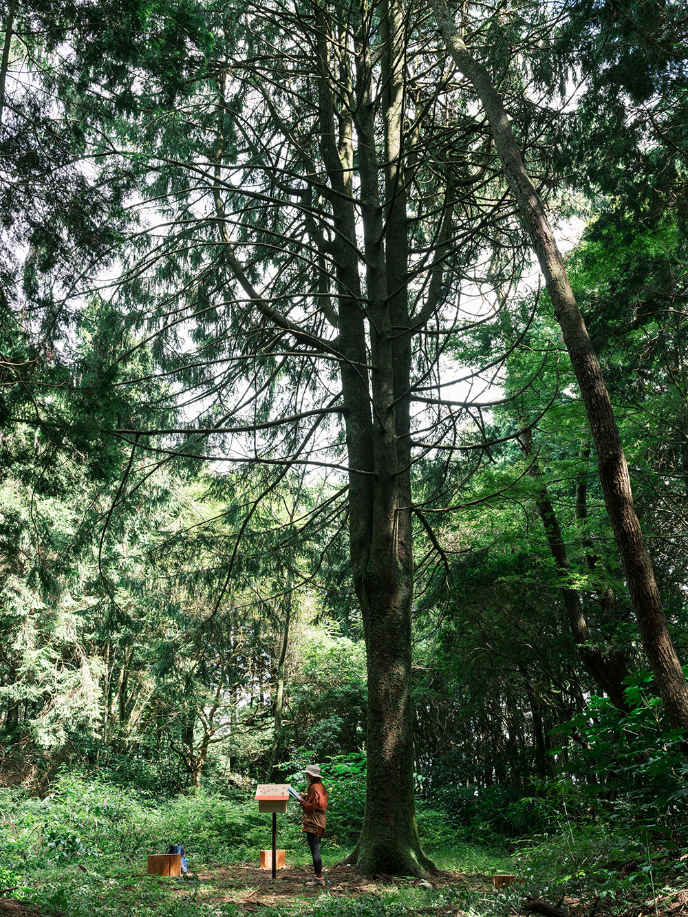 NL/ROKKOを体験してきました〜トレッキングしながら「働く」について改めて想いをはせる | ROKKONOMAD - Smart ...